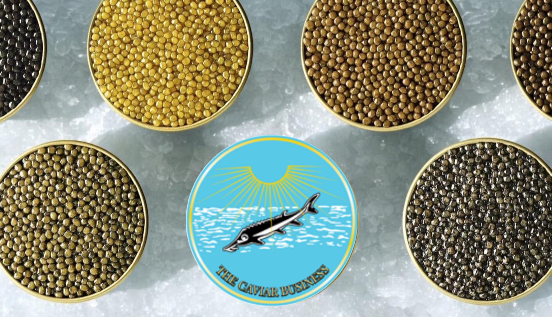 Caviar France | Caviar Beluga Delivery – The Caviar Business France